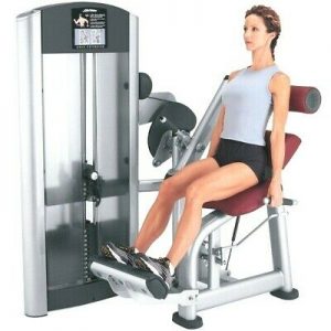Life Fitness Signature Series Back Extension - We Sell Fitness